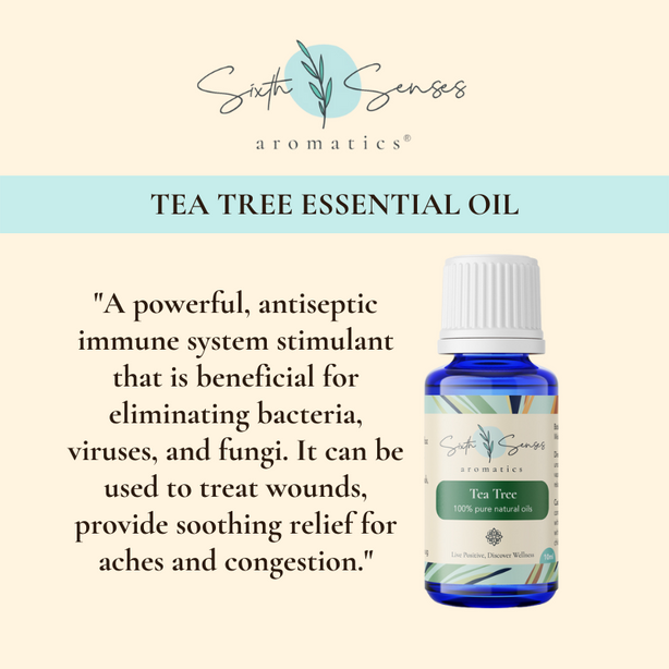 Sixth Senses Aromatics Tea Tree essential oil – Robinsons Singapore