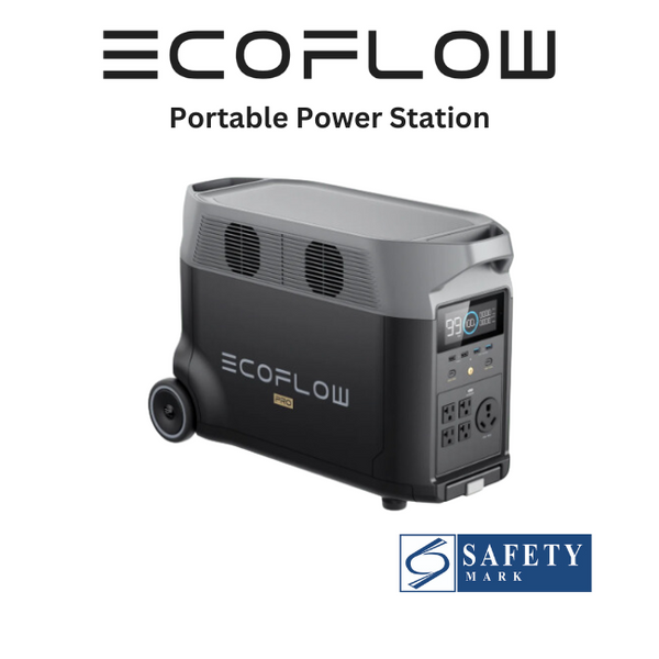 EcoFlow Delta Pro Portable Power Station – Robinsons Singapore