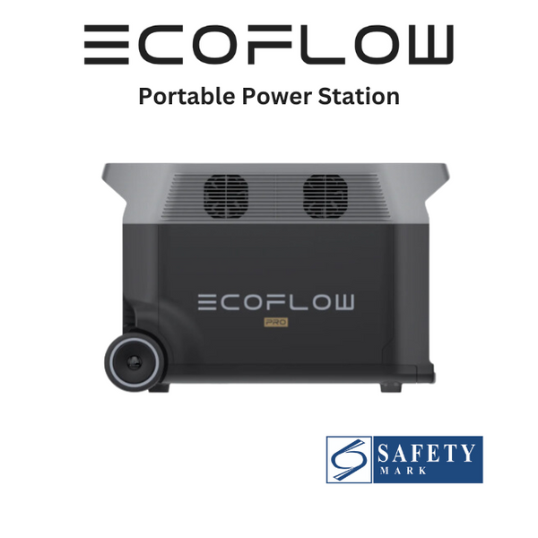 EcoFlow Delta Pro Portable Power Station – Robinsons Singapore