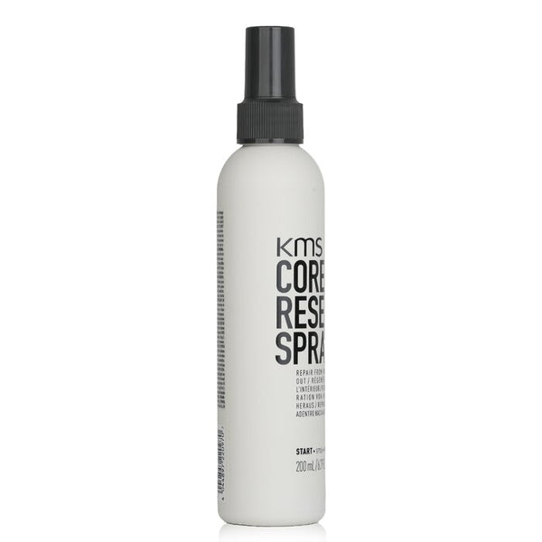 Core Reset Spray (repair From Inside Out) - 200ml/6.7oz – Robinsons ...